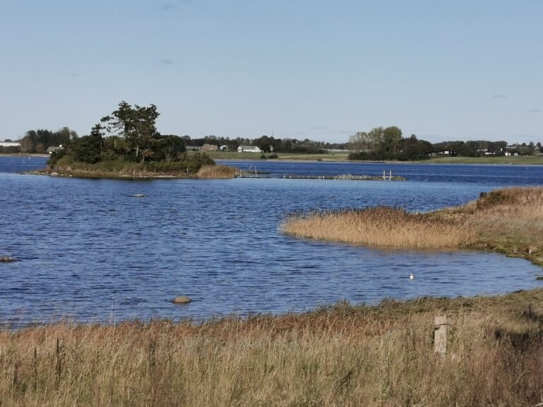 Svend Estridsen (1022-1076) – Kongegrave