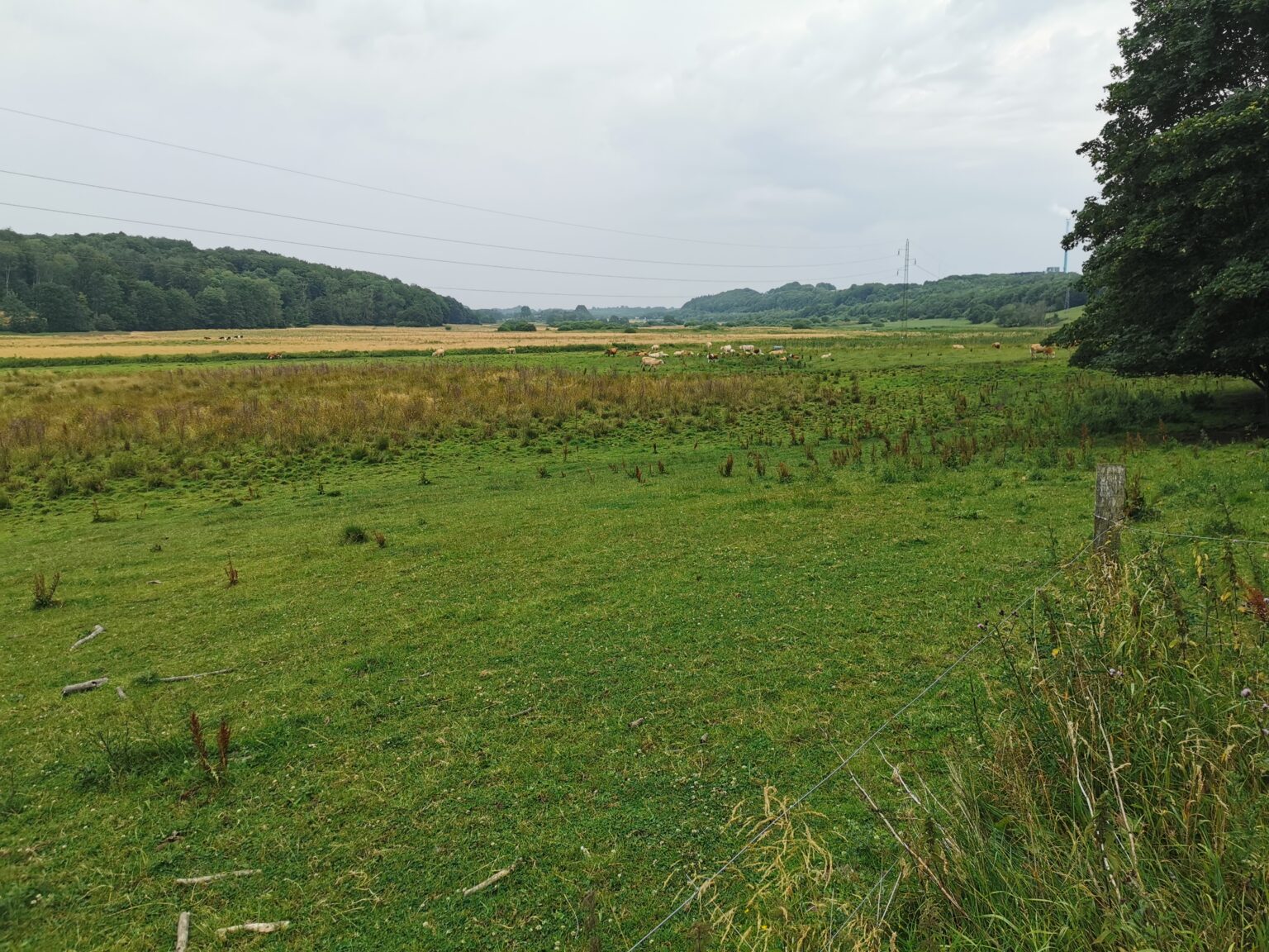 Romersk og germansk jernalder (0-750) – Kongegrave